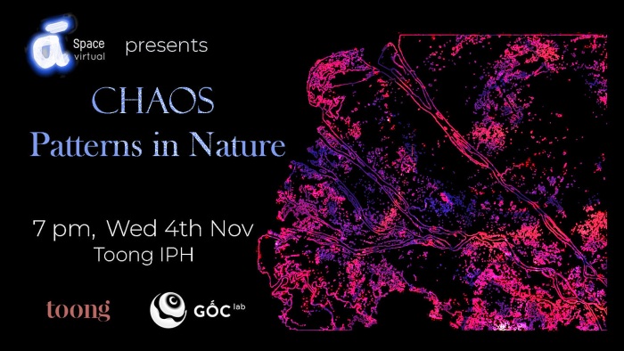 Workshop VI: Chaos - Patterns in Nature - Hanoi Grapevine